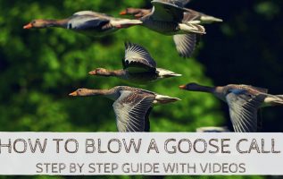 Best Goose Call For Beginners (Top 10) | February 2018 | OutdoorStack