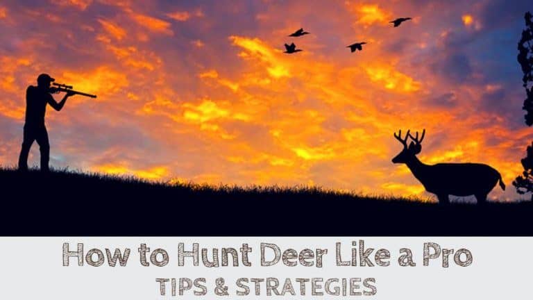 Deer Hunting Tips & Strategies for Beginners - How to Hunt Like a Pro
