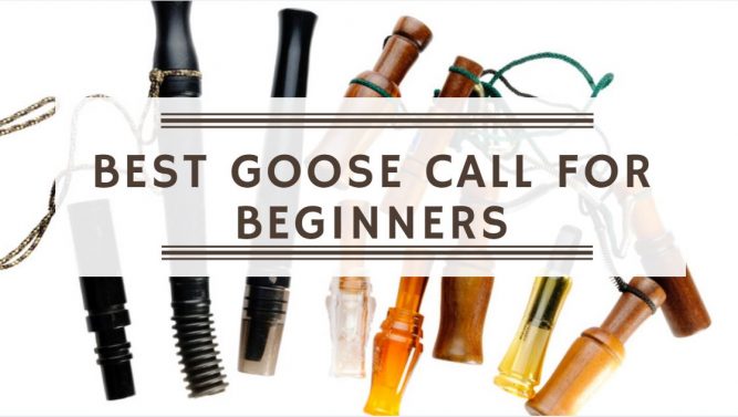 Best Goose Call For Beginners (October 2025) - OutdoorStack