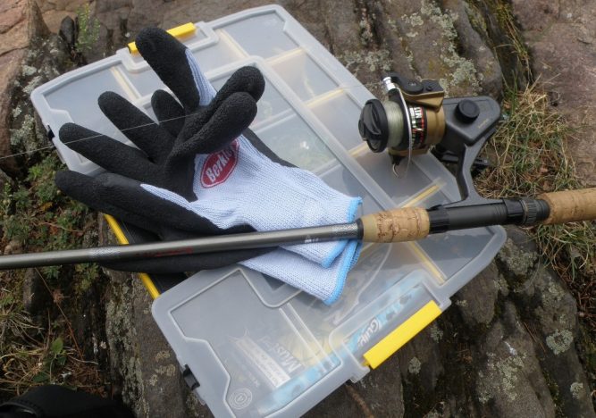 Fishing Basics for Beginners - Learn How to Fish Like a Pro