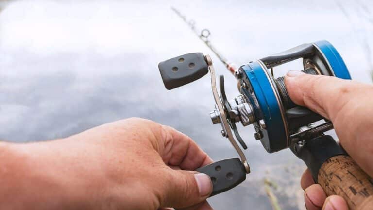 10 Best Baitcasting Reel for Salmon Fishing (May 2025)