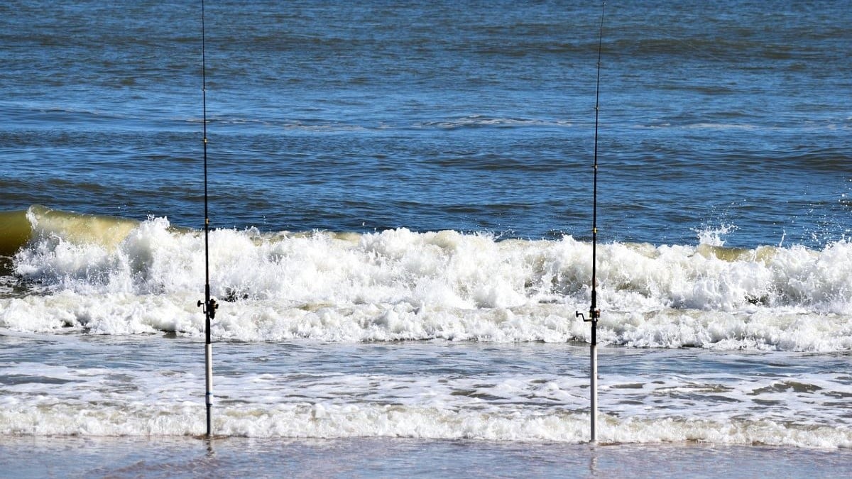 8 Best Surf Fishing Rods of 2025 [Reviews and Buying Guide]