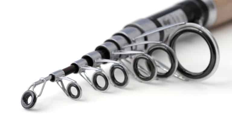 8 Best Surf Fishing Rods of 2025 [Reviews and Buying Guide]