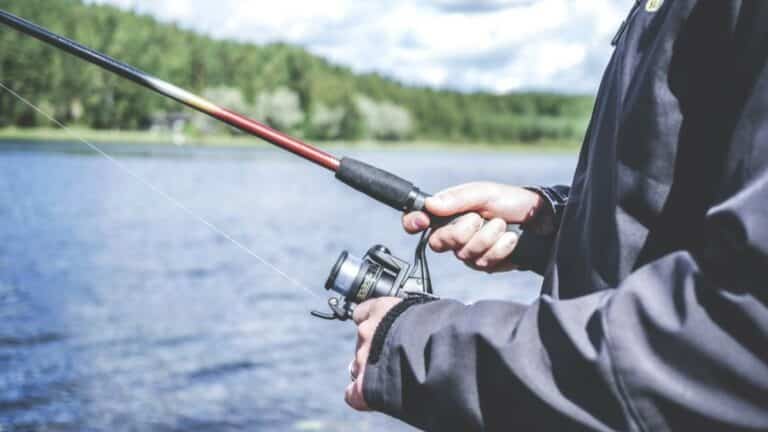 9 Best Trout Fishing Rods for 2025 (Reviews & Buying Guide)