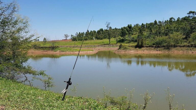 9 Best Walleye Rods for 2025 (Expert Reviews & Buying Guide)